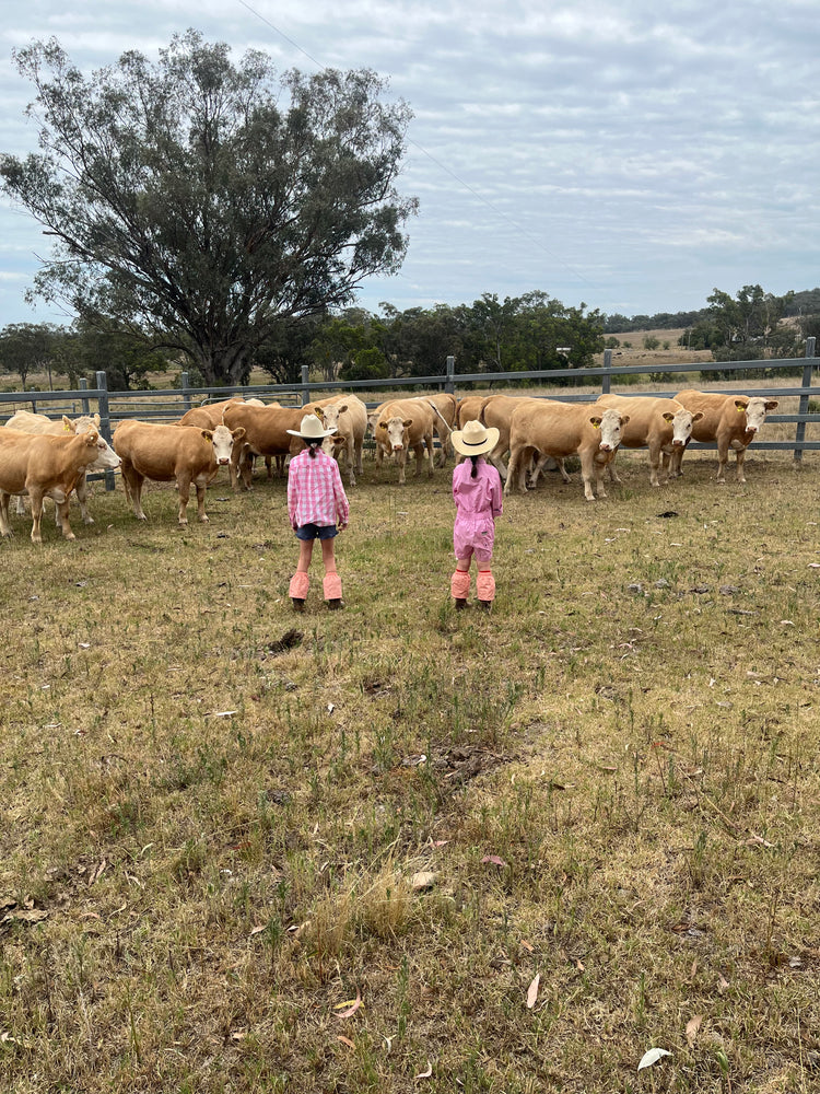 Home Paddock Meats from our family farm to your families kitchen.
