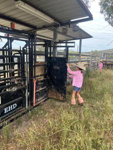 Home Paddock Meats from our family farm to your families kitchen.